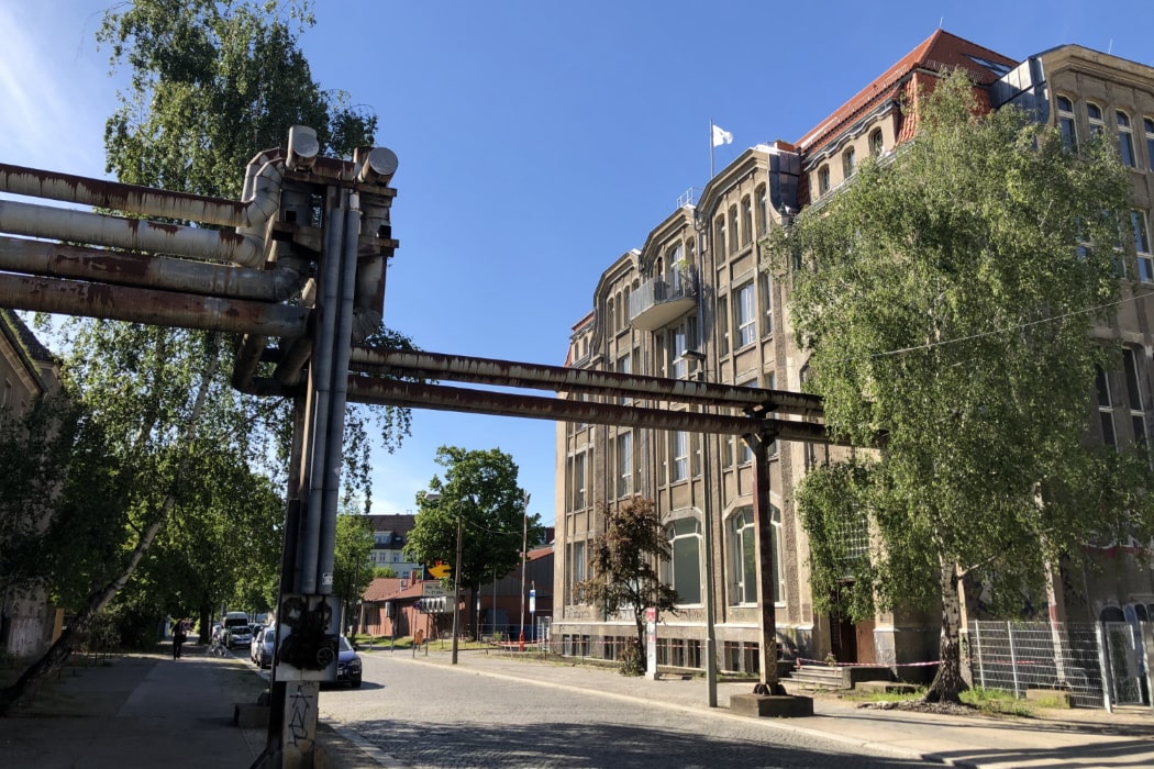 BONE MUSIC - X-Ray Audio project at Villa Heike | DEEDS NEWS