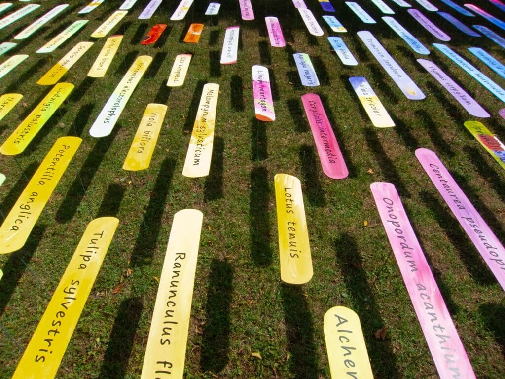 Katzenwäsche - Group Global 3000 - Engelbecken Berlin | DEEDS ...